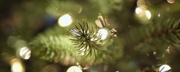 Christmas at Holy Trinity - Holy Trinity Church Cuckfield